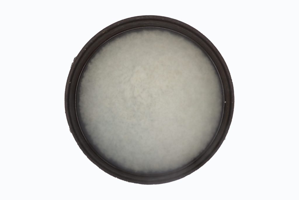 Korean Fried Rice - Umai Food Store